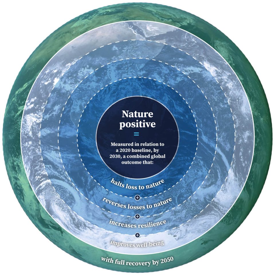Bluedot - Nature positive and the role of organisations