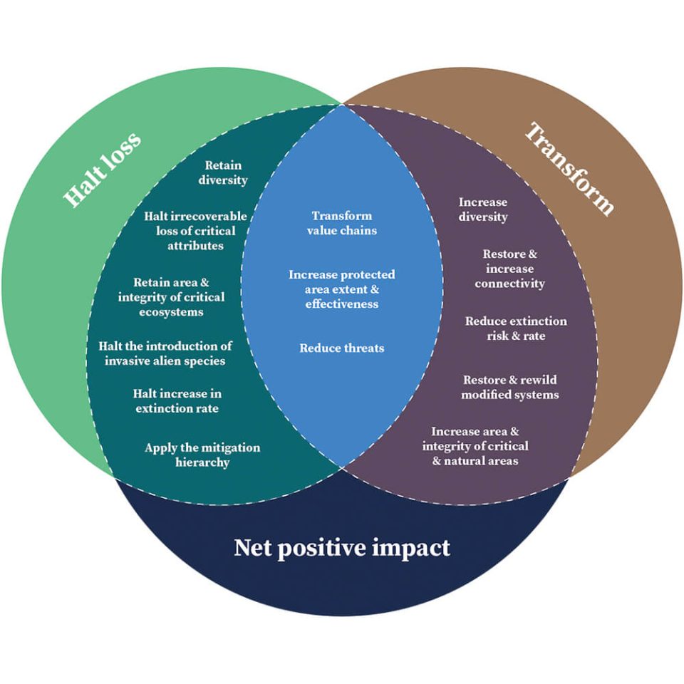 Bluedot - Marine Net Gain Framework