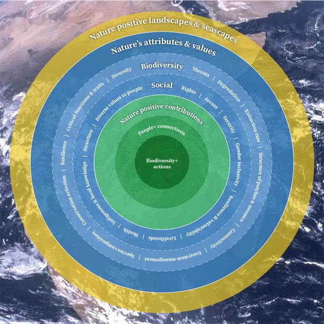 Bluedot - Marine Net Gain Framework